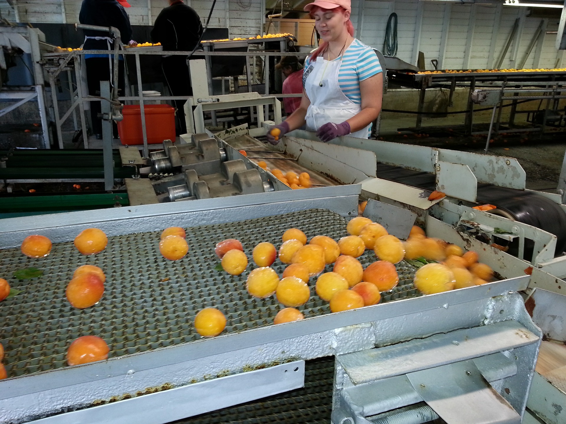 Smart Food Processing | FME