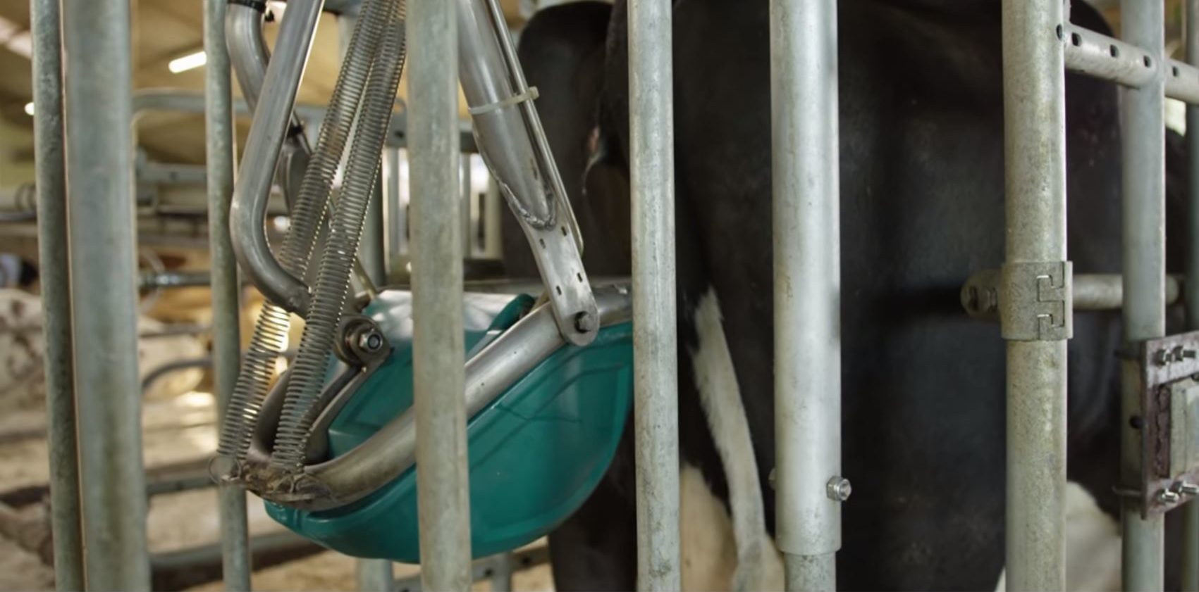 Koeientoilet eindelijk officieel gecertificeerd | FME